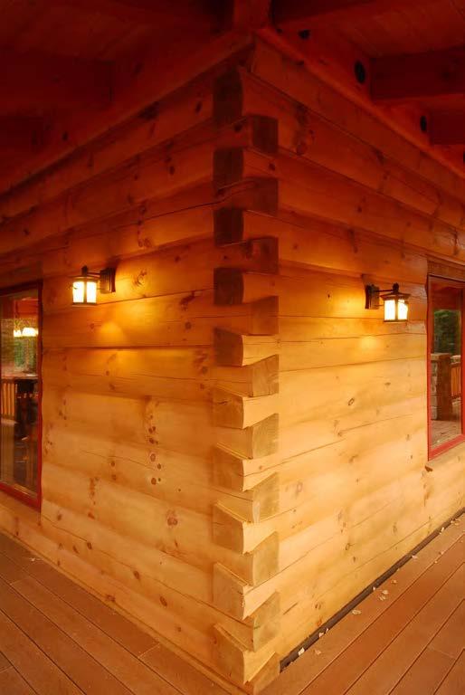 Mountain View Lodge 2 Plan Details - Natural Element Homes