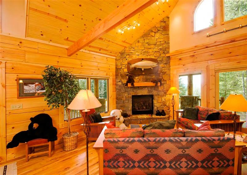 Mountain View Lodge 2 Plan Details - Natural Element Homes