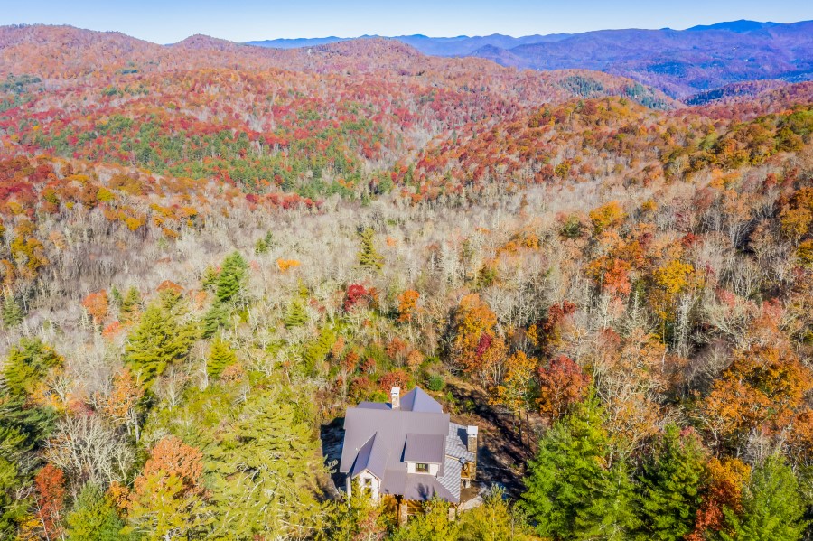 Rye Mountain Lodge Plan Details - Natural Element Homes